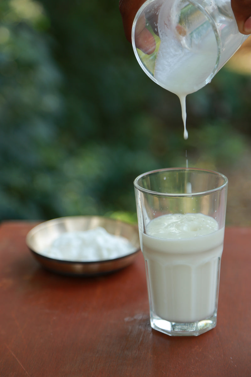 Lassi Love: A Refreshing Taste of Tradition – rajadairy